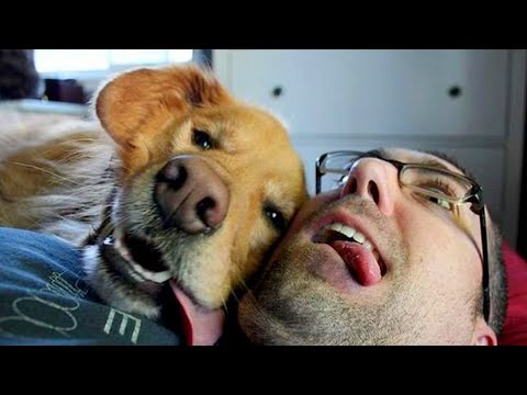 Dog proves they are the ultimate best friend to humans
