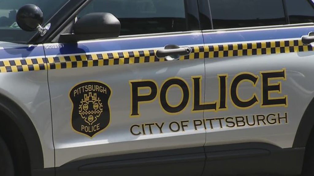 Pittsburgh police detail response to large Fourth of July crowd on ...