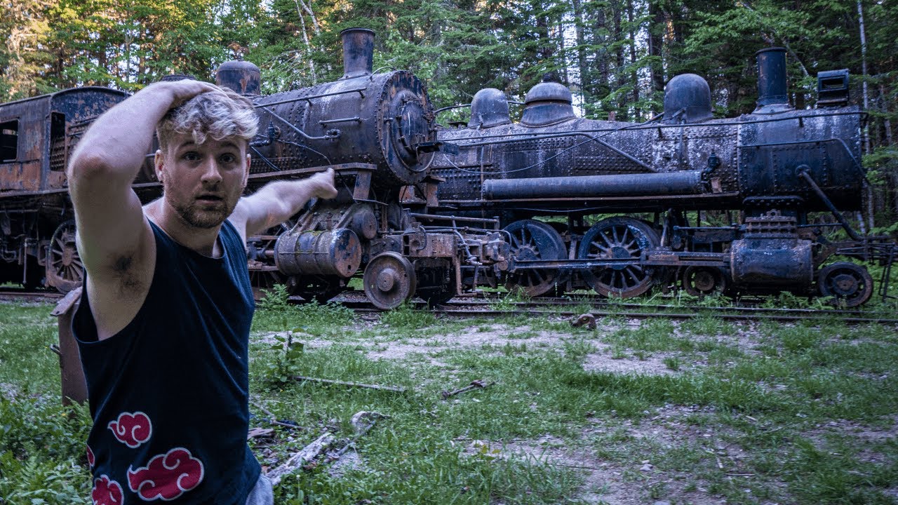 I found abandoned ghost trains in the woods 🚂🌲