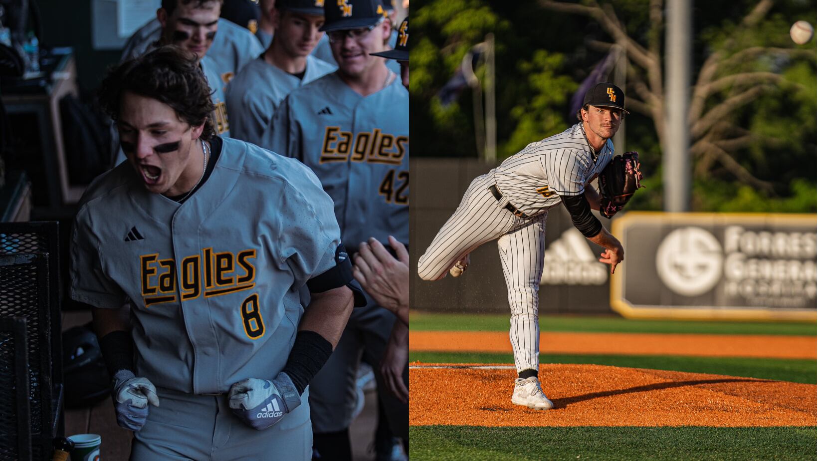 Two Southern Miss players named D1 Baseball All-Americans