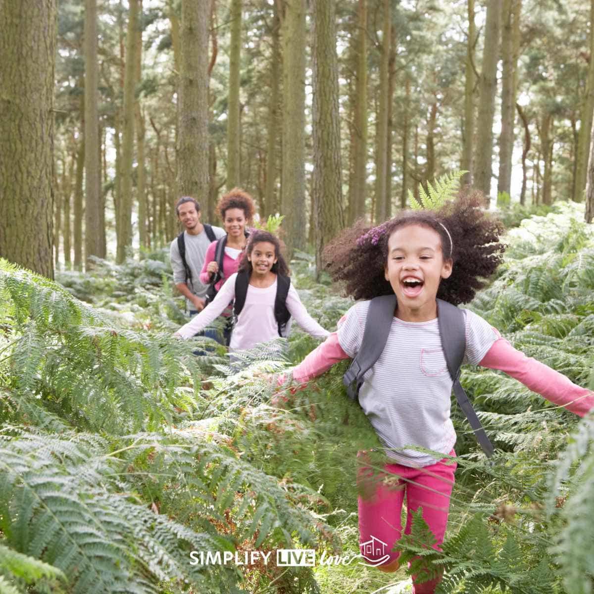 How to Avoid Ticks While Hiking: 10 Proven Natural Methods to Stay Safe ...
