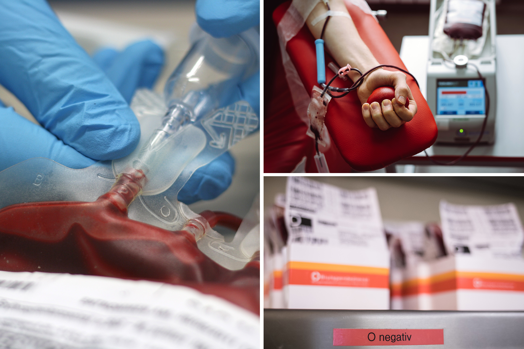 I have an extremely rare blood type — I’m the only person in the world ...