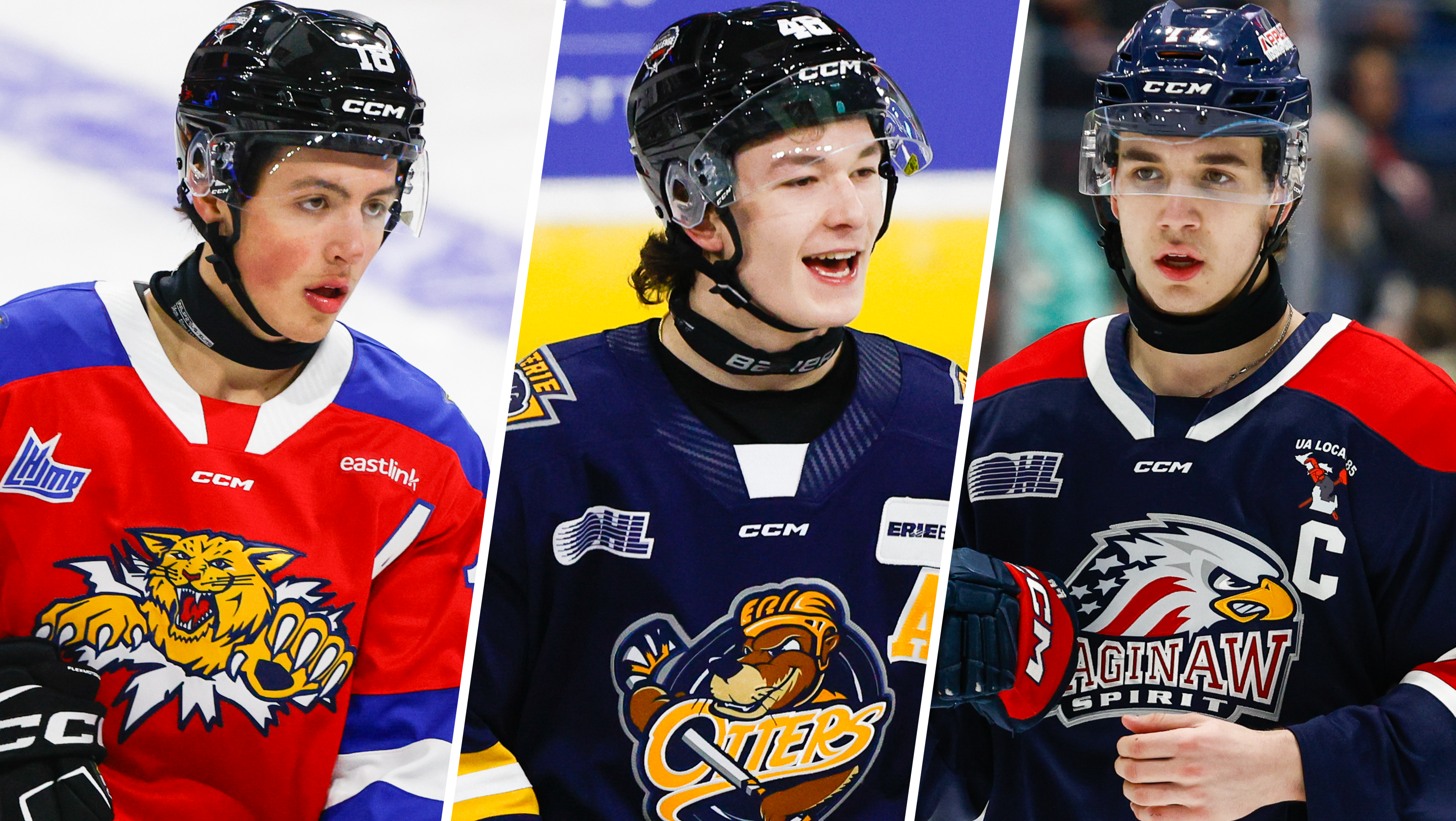 The NHL draft begins Friday. Here's the schedule, full draft order and ...