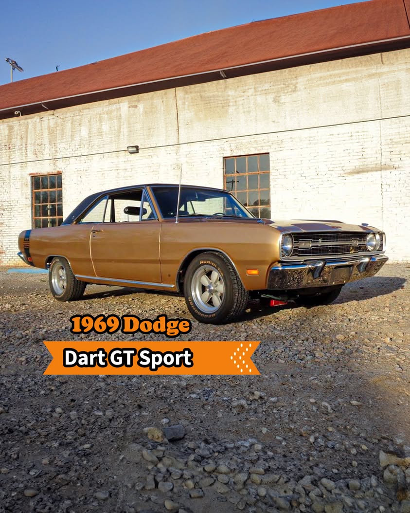 1969 Dart GT Sport: Poly Gold Glory