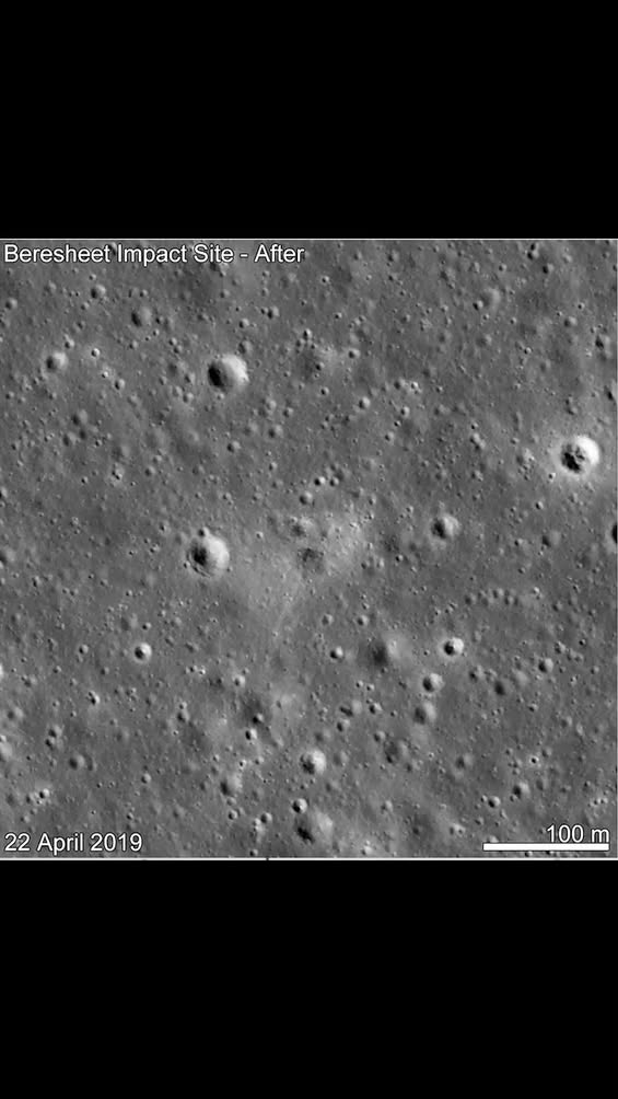 Water bears In a vacuum chamber 🐛