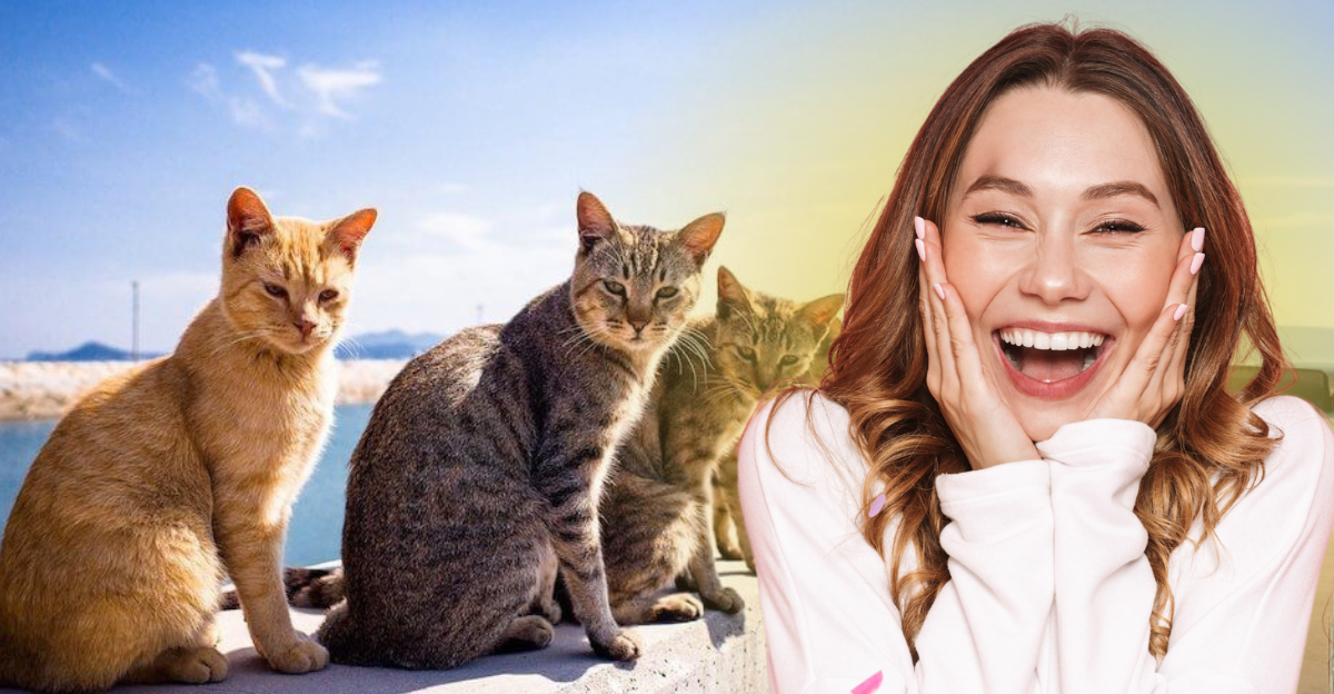 Meet The Adorable Rulers Of These Unusual Islands