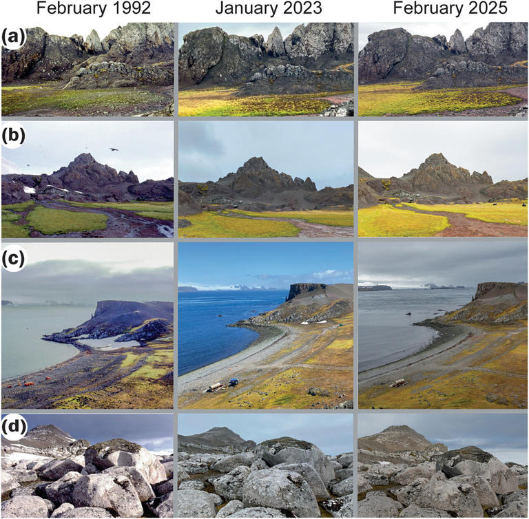 Study challenges recent claims about rapid Antarctic 'greening'