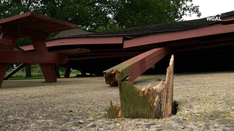 Fallen tree splits shed in half, winds rip roof of building at pig farm