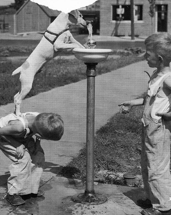 24 Historical Photos of Kids Show That Children Haven’t Changed Much