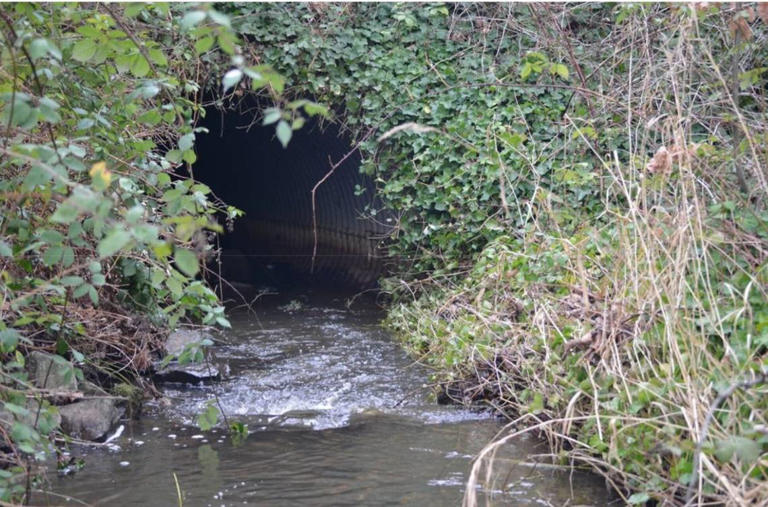 Whatcom County I-5 lane closures begin soon for WSDOT culvert replacement