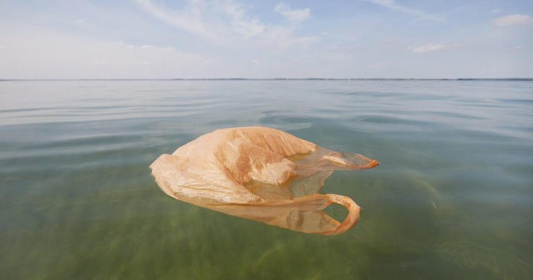 Plastic bag fees and bans are working–big time, researchers say