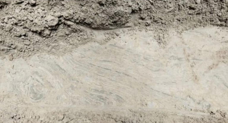 Deeg Unearths Indian History: OCP Pottery, Shiva-Parvati Idol, Dried ...