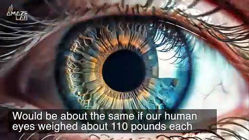 Why Do Deep Sea Creatures Have Such Gigantic Eyes?