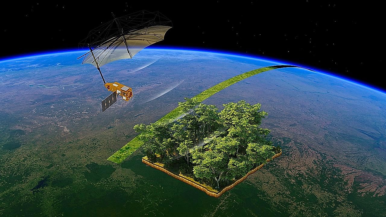 ESA's “Space Brolly” satellite reveals stunning images of Earth's forests