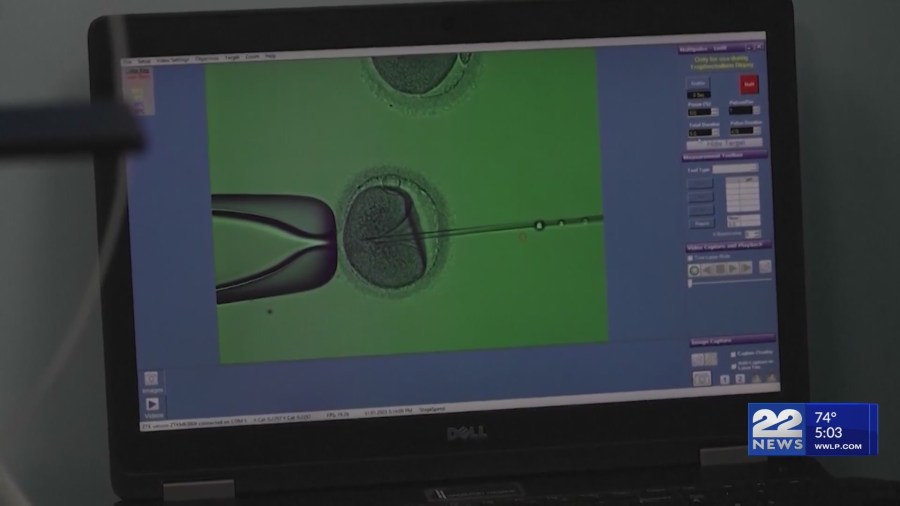 Senate takes a step forward on protecting reproductive and transgender ...