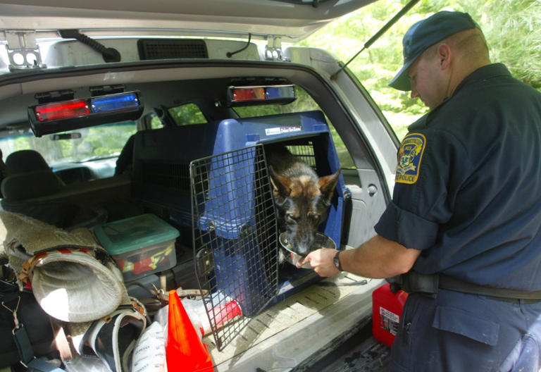 Molly Bish case still unsolved after 25 years