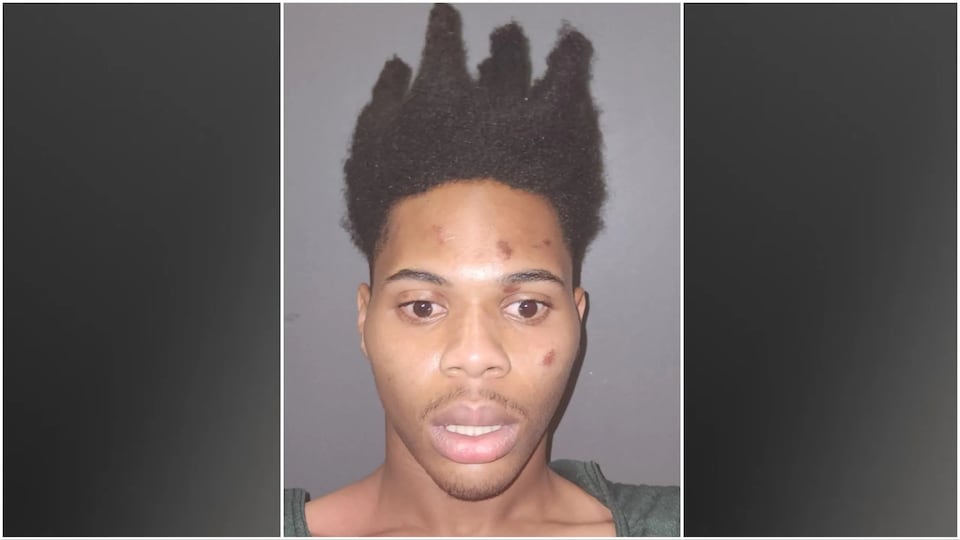 New co-counsel joins defense team in Pine Hills triple murder case of ...