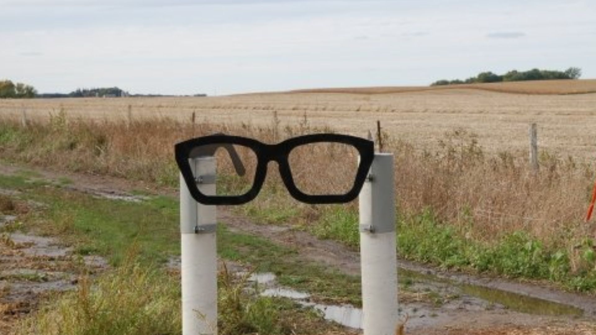 20 Different Sunglasses Shapes & Styles For All Your Needs