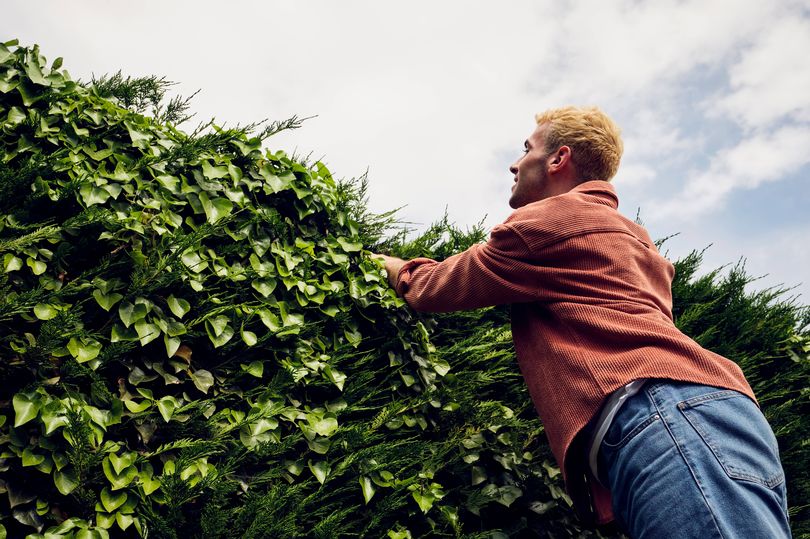 Expert explains your rights if your neighbour's hedge is too high