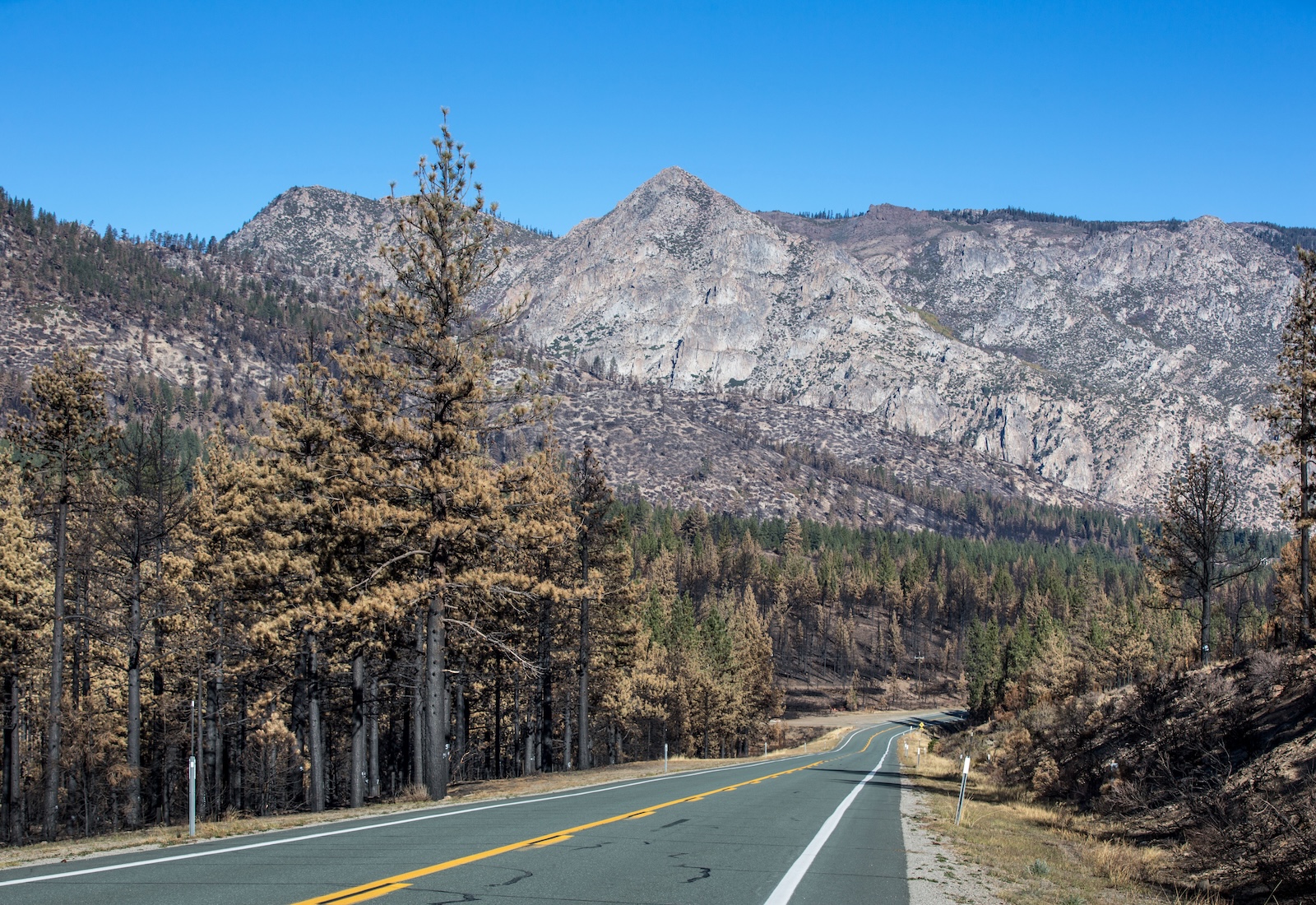 The Trump administration claims roads in forests prevent wildfires ...
