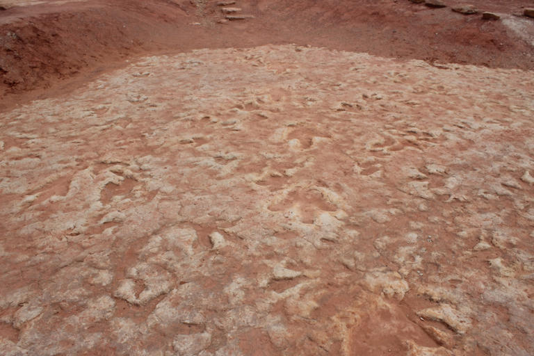 Today in the Supreme Court: A recap of Friday's decisions