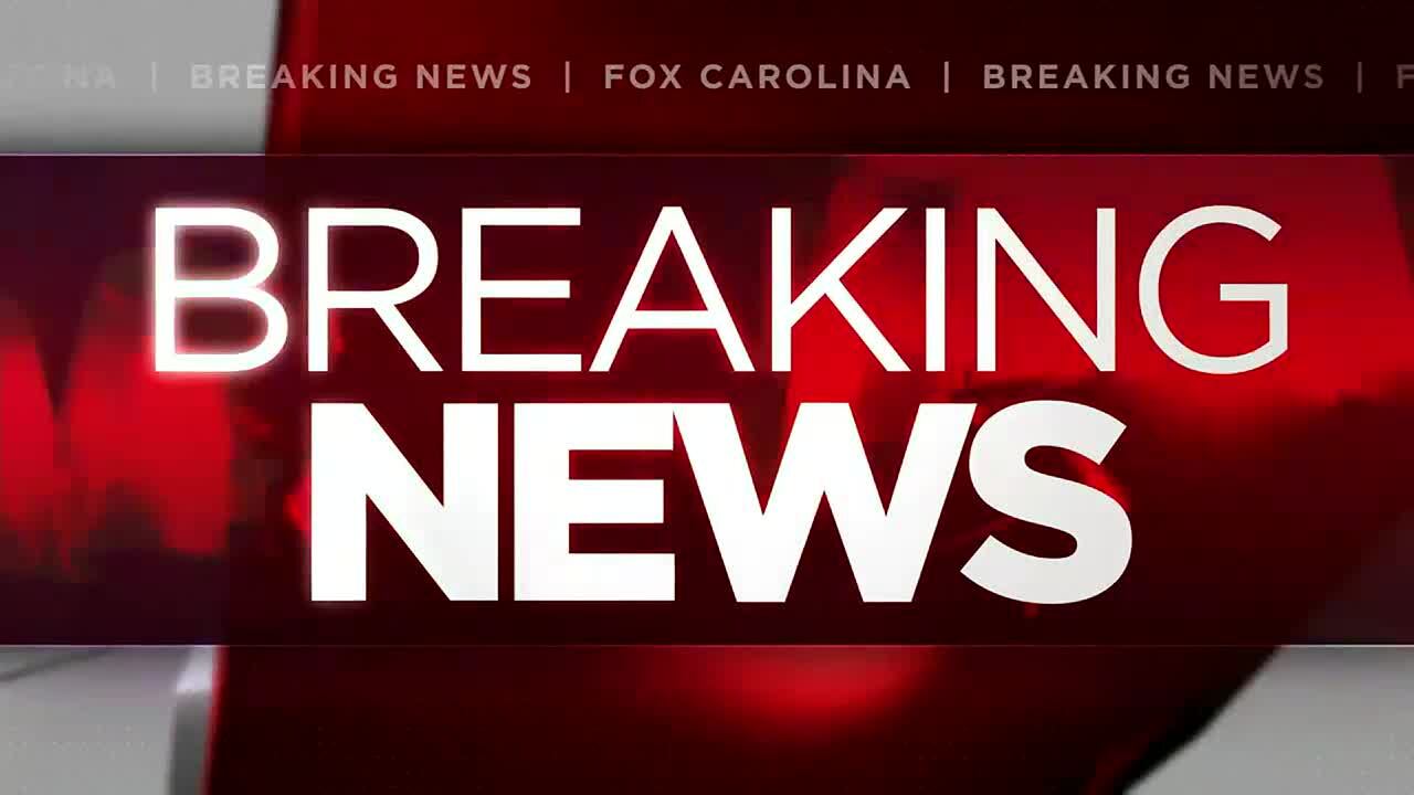 FOX Carolina News Live Stream