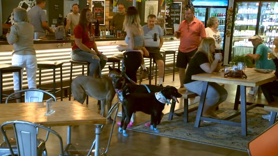 Animal advocates celebrate passage of Greenville Co. ordinance