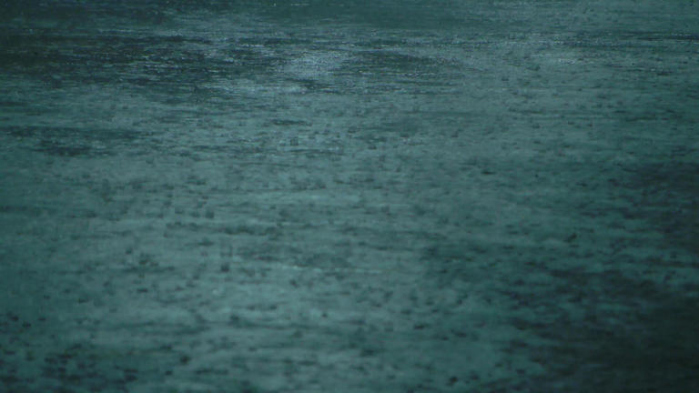 Homewood neighbors say flooding remains biggest concern as city cracks ...
