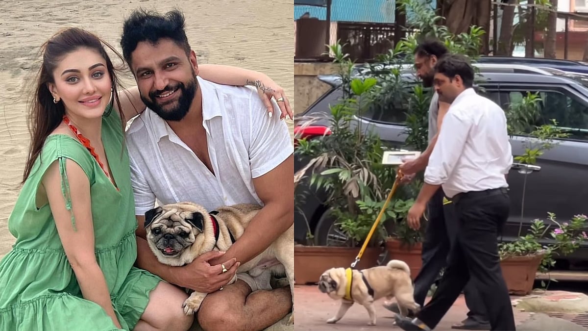 Parag Tyagi Carries Shefali Jariwala's Photo As He Steps Out With Pet ...