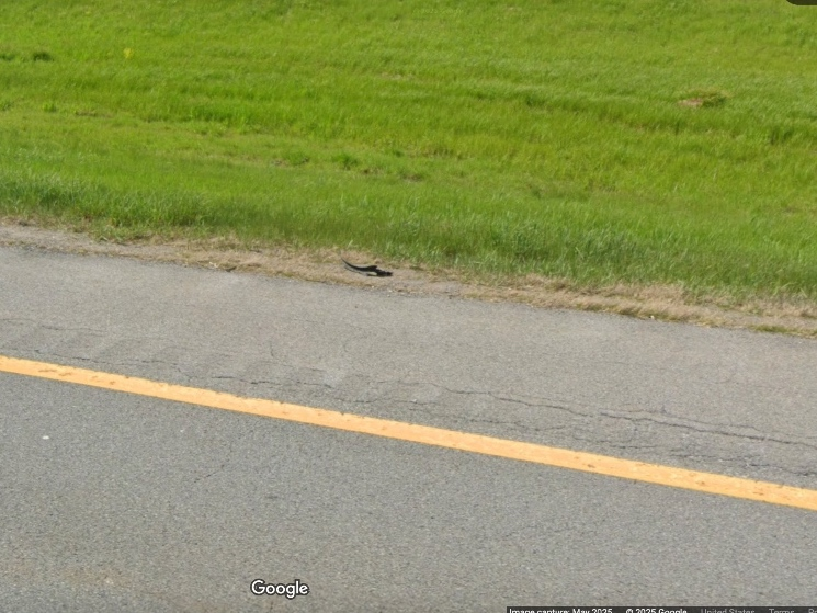 Victim ID'd In Deadly I-84 Harley, Honda Collision