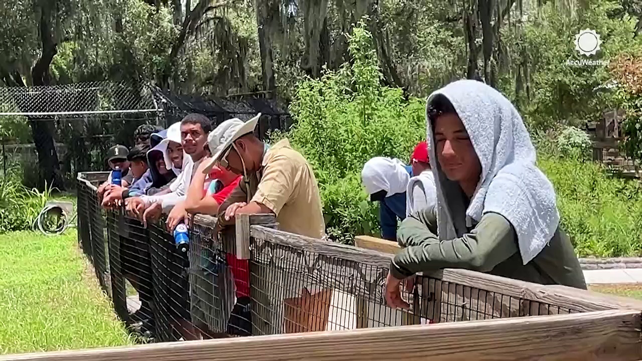 How does a zoo prepare for a hurricane?
