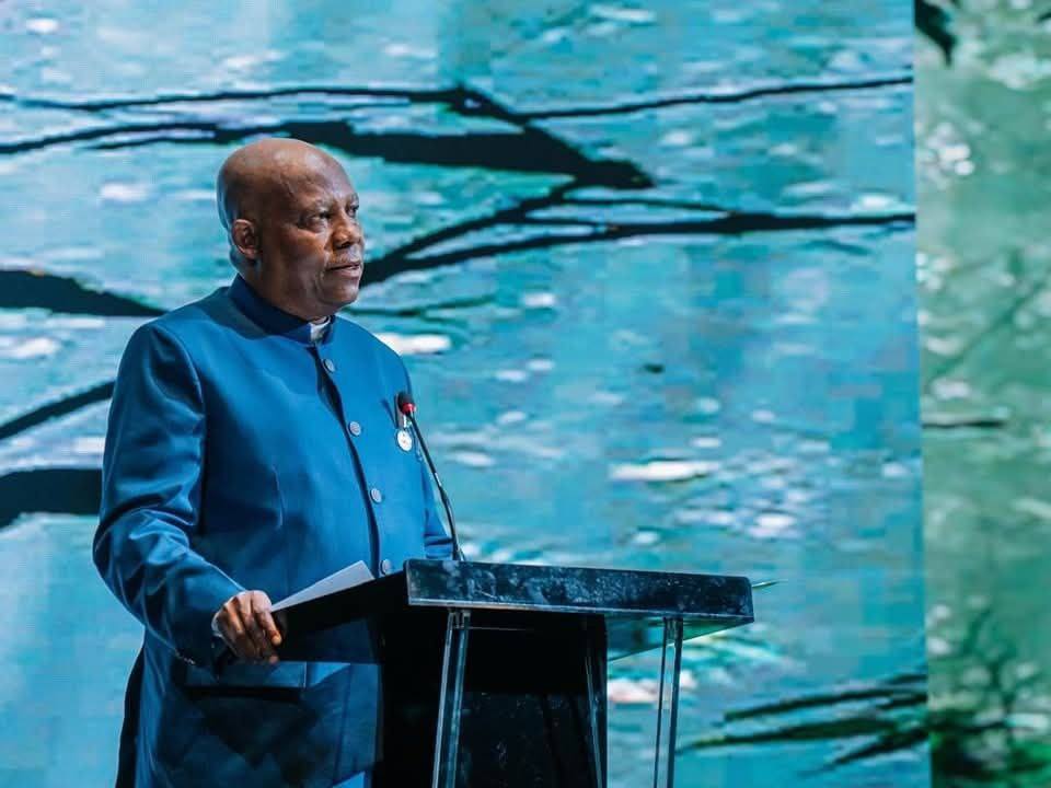 Nigerian Vice President Hails Ethiopia’s Green Legacy Initiative as Practical Climate Solution ...