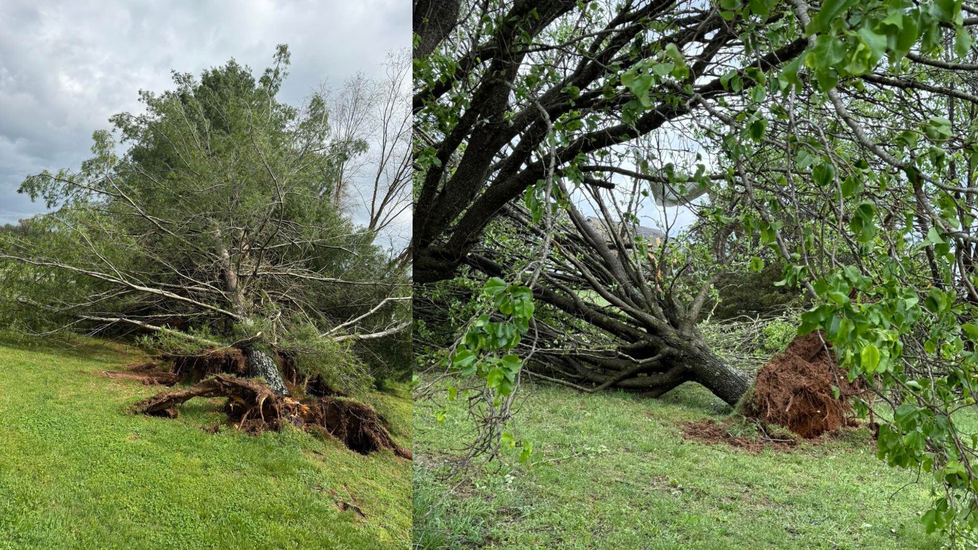 Federal assistance available for Wilson County residents affected by April storms