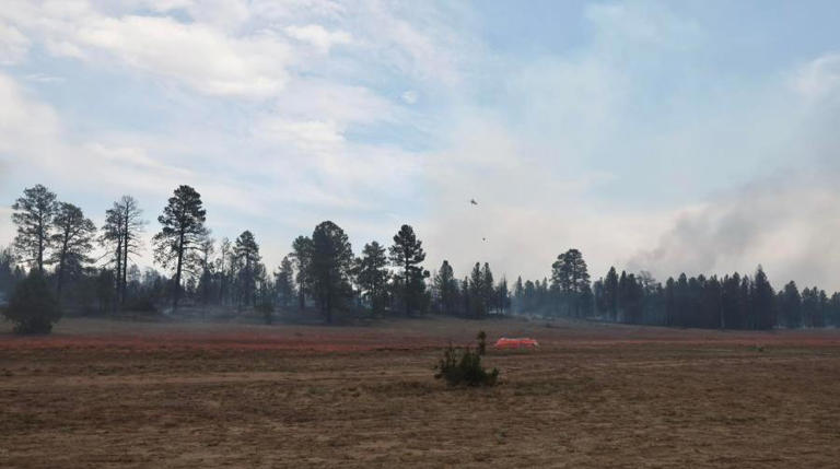 Some residents allowed to return home after crews make progress on Oak ...