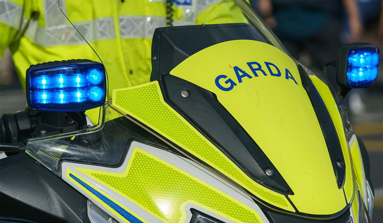 ‘It’s not that bad’ — Gardai not impressed with learner driver’s excuse ...