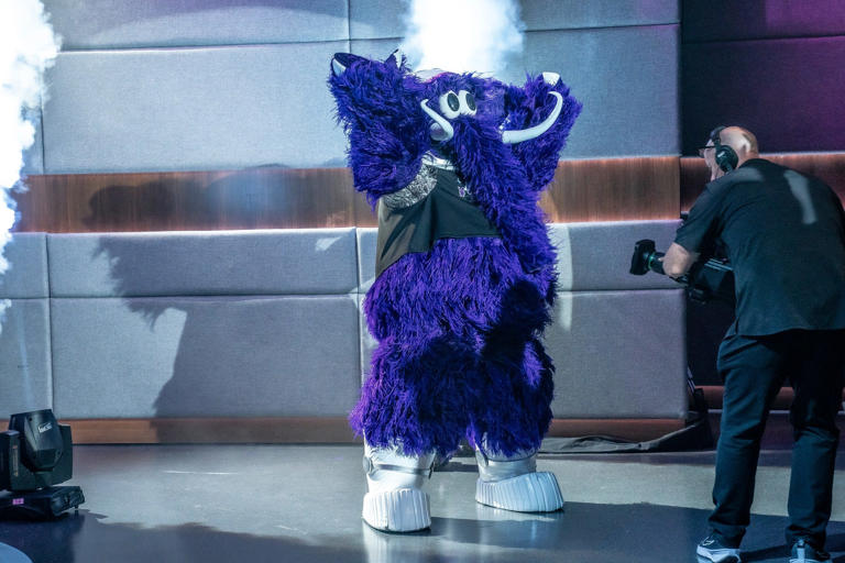 What's big, purple and fuzzy? Meet the new mascot of the Erie Moon Mammoths