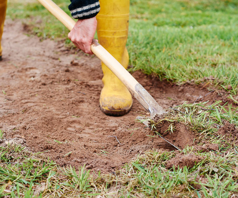 Is laying turf over grass a clever lawn hack or a waste of time?