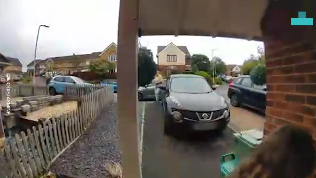 Hilarious Fall on Driveway Ends in Faceplant