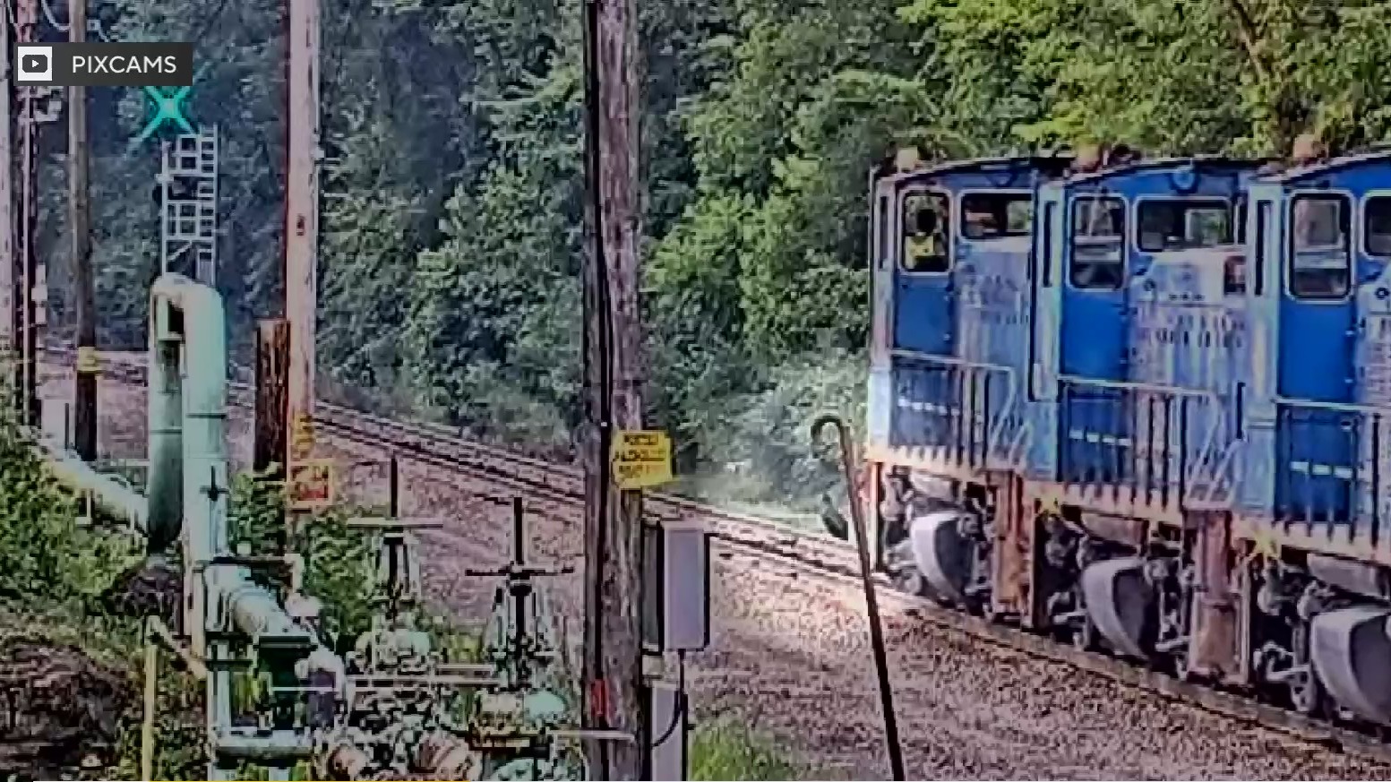 Video shows conductor stopping train, getting out and shooing young ...