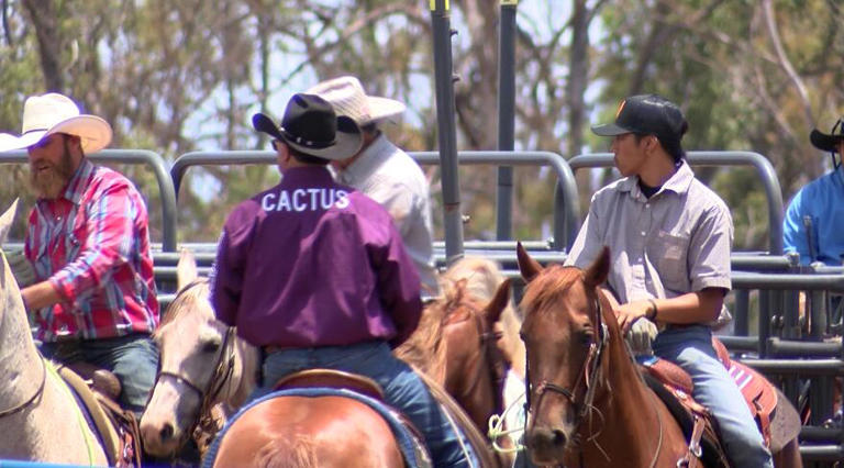 Makawao Stampede rodeo attracts thousands worldwide