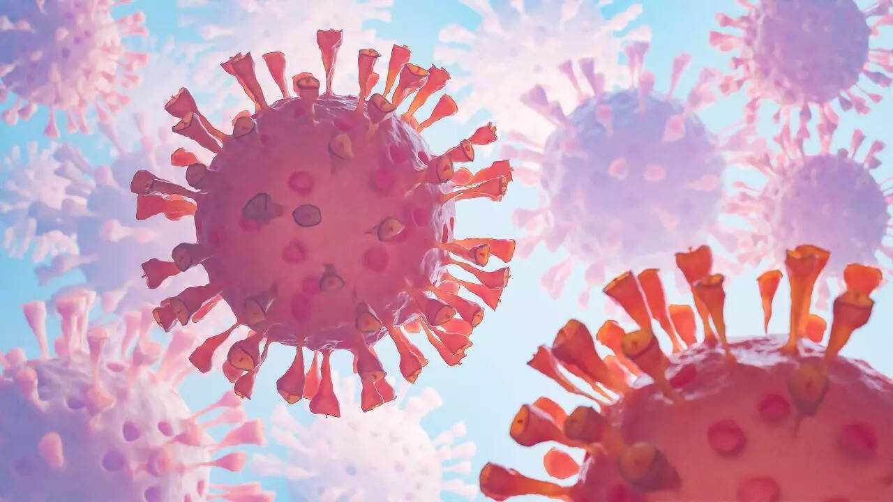 H5N1 outbreak: Cambodia reports 12th case this year; early symptoms to ...