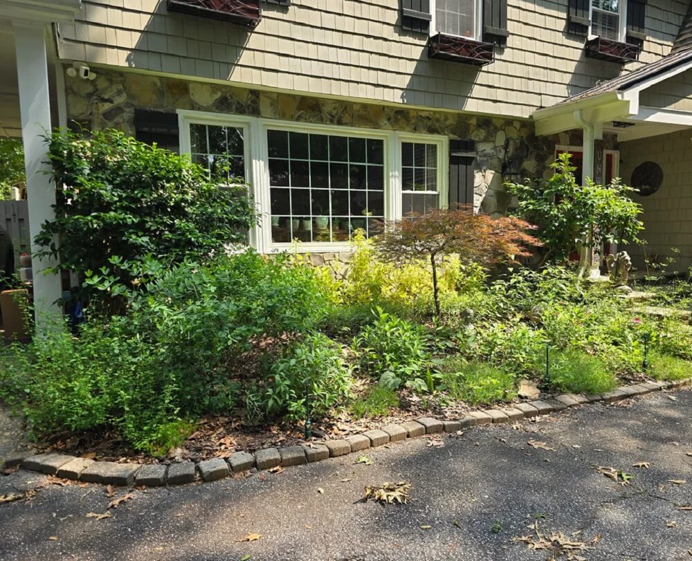 Proud homeowner shares before-and-after photos of massive garden ...
