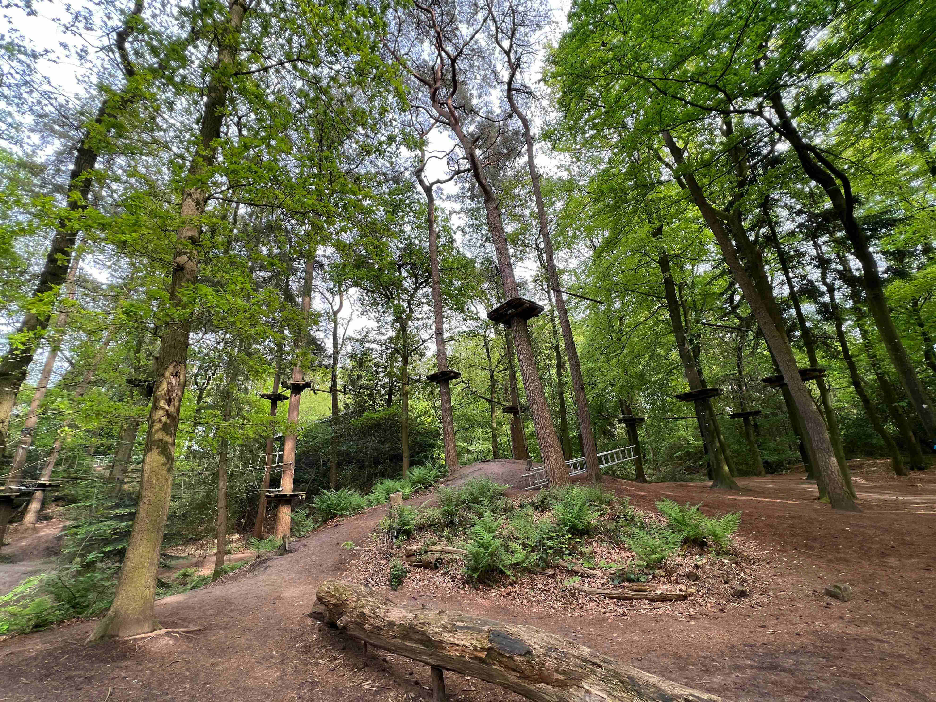 3x de leukste outdoor klimparken in Friesland, Drenthe en Groningen
