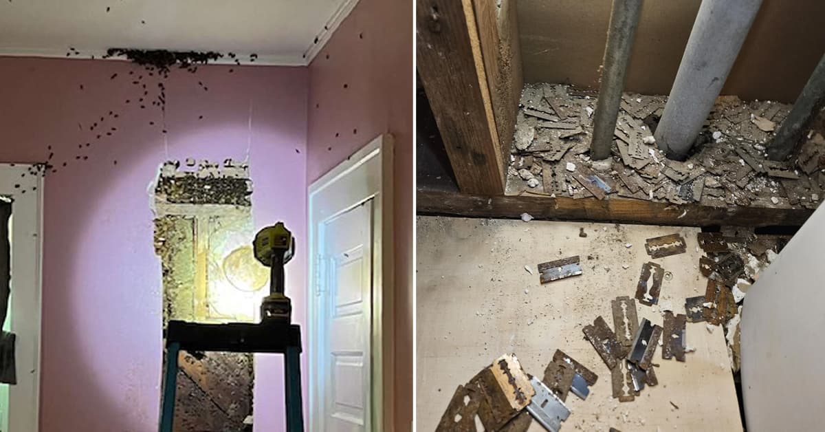 21 Weird and Creepy Things People Found In Their Walls