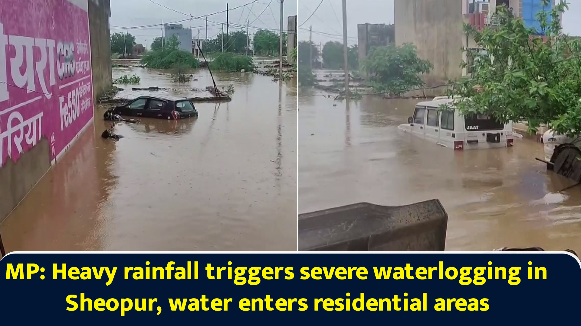 MP: Heavy rainfall triggers severe waterlogging in Sheopur, water ...