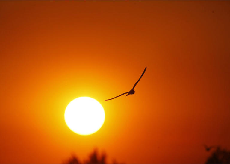 The hottest month in Louisiana in the last 130 years, according to data