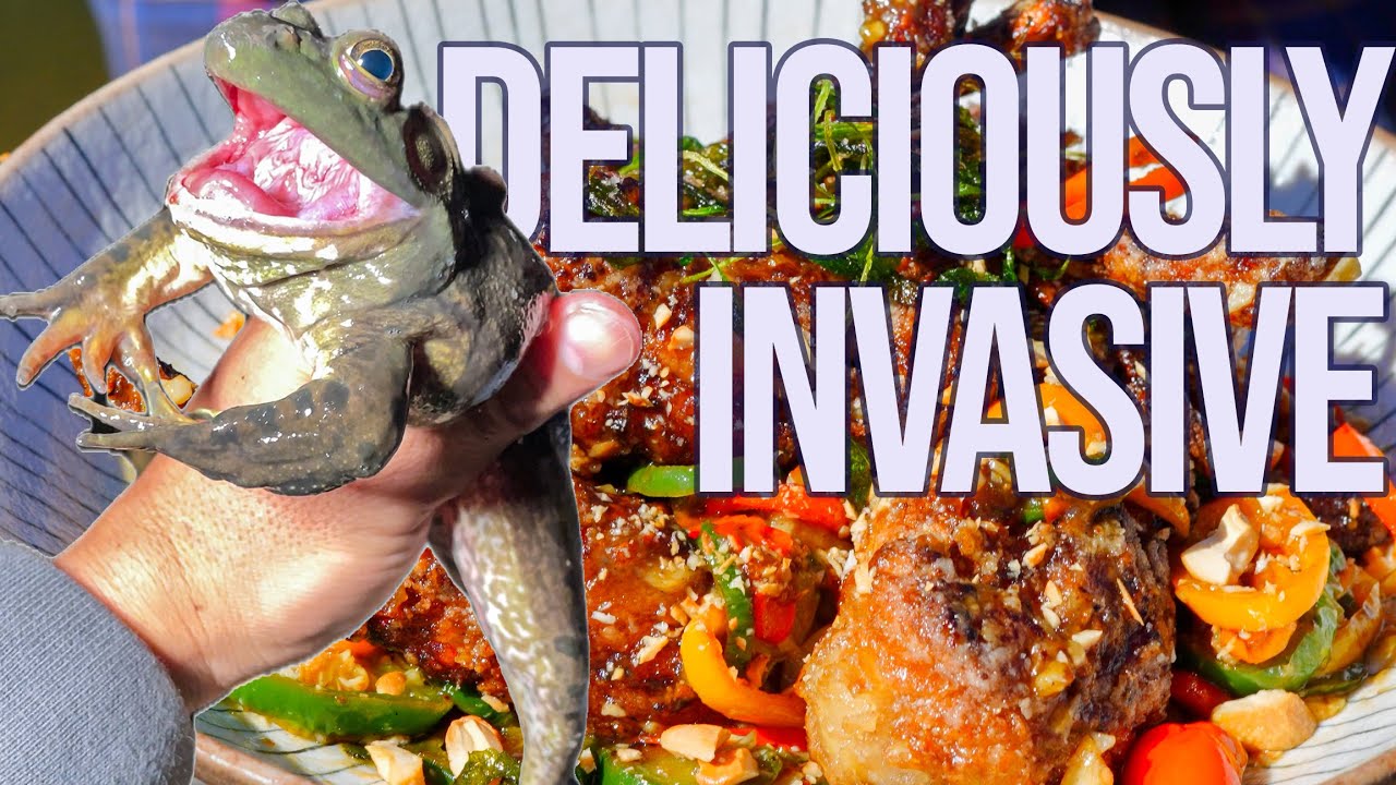 DELICIOUSLY INVASIVE Eps. 7 | Bull Frogs in California