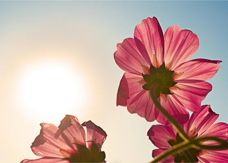 The highest temperature ever recorded in New Jersey, based on data