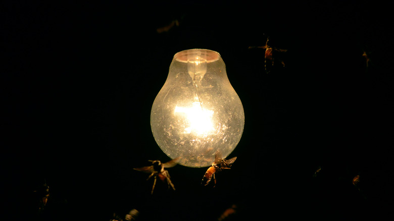 The Type Of Light Bulb To Use For Outdoor Lighting That Keeps More Bugs ...