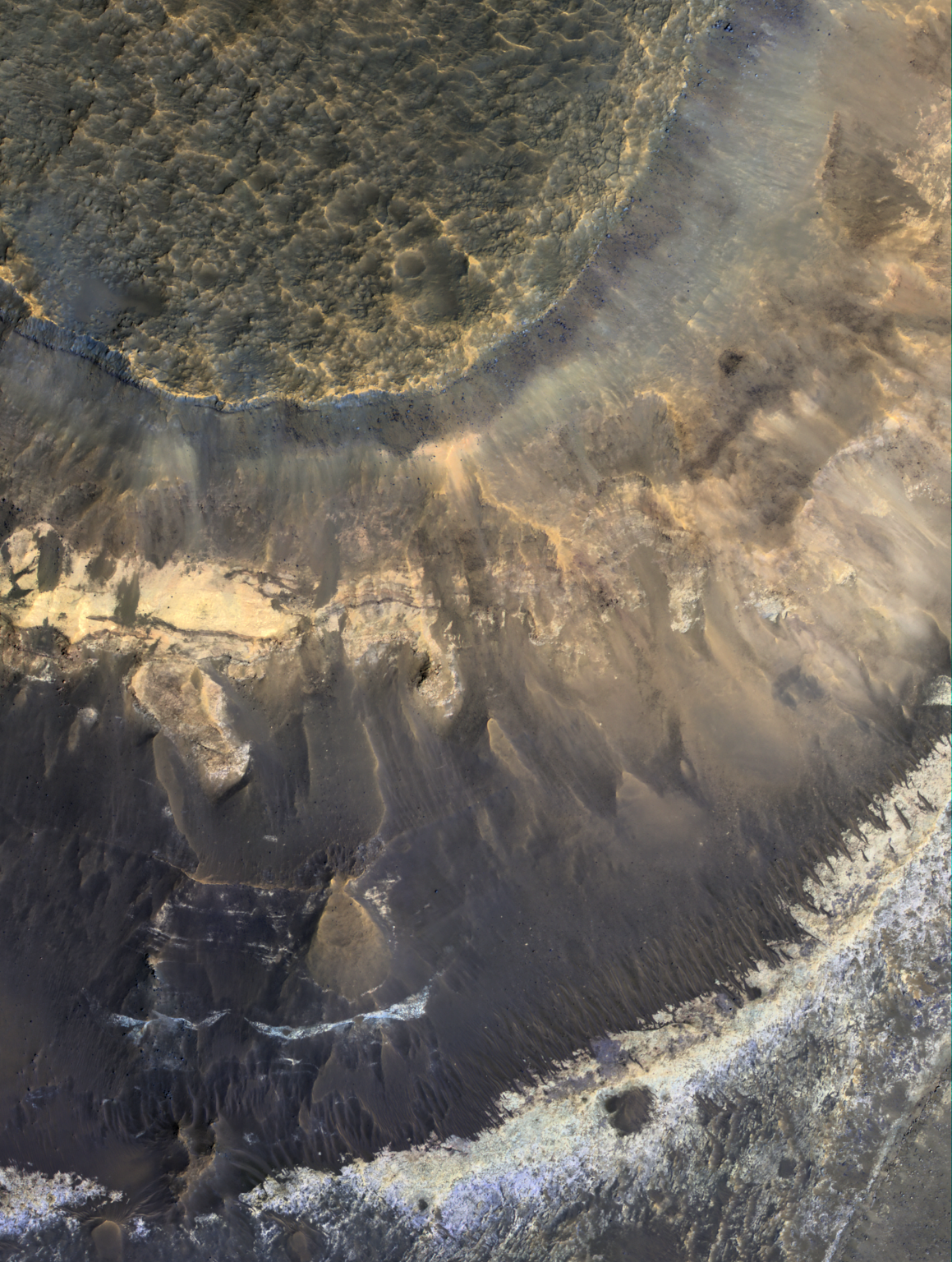 Mars life proof may have just been discovered say scientists